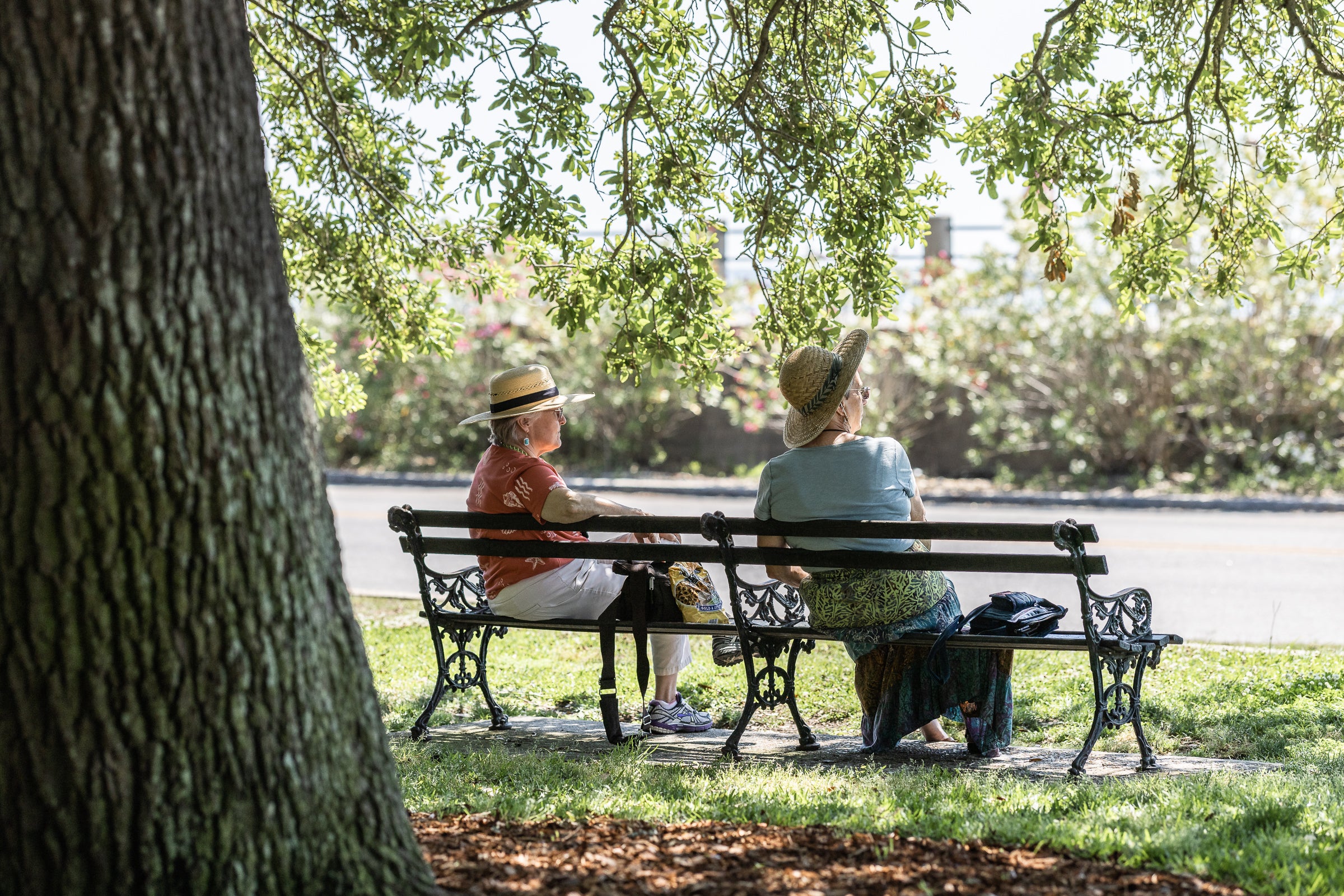 The Original Charleston Battery Bench© – charlestonbatterybench